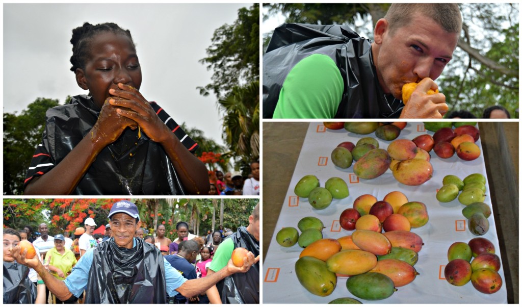 Mango Melee 2015: Another Success - V.I. ConsortiumV.I. Consortium