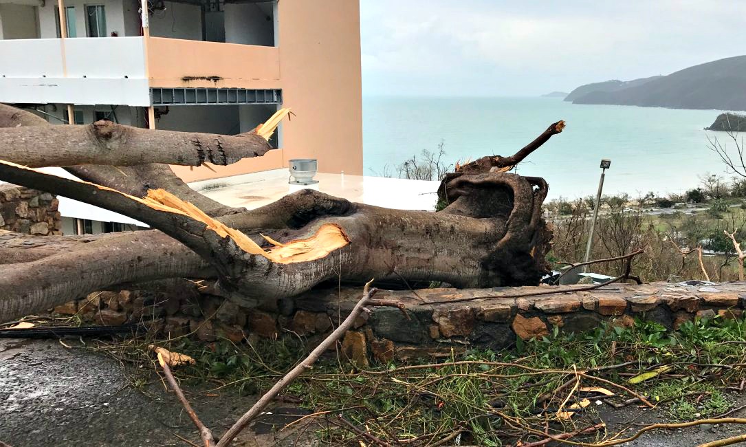 Protect Yourself And Your Family: Important Information For USVI ...